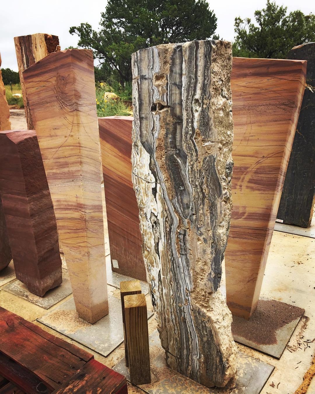 Portfolio – The Rock Star Gallery®