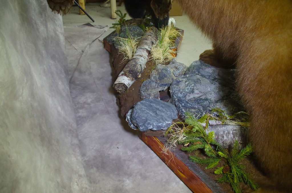 Bases, Pedestals and Habitat – Old Barn Taxidermy & Tannery